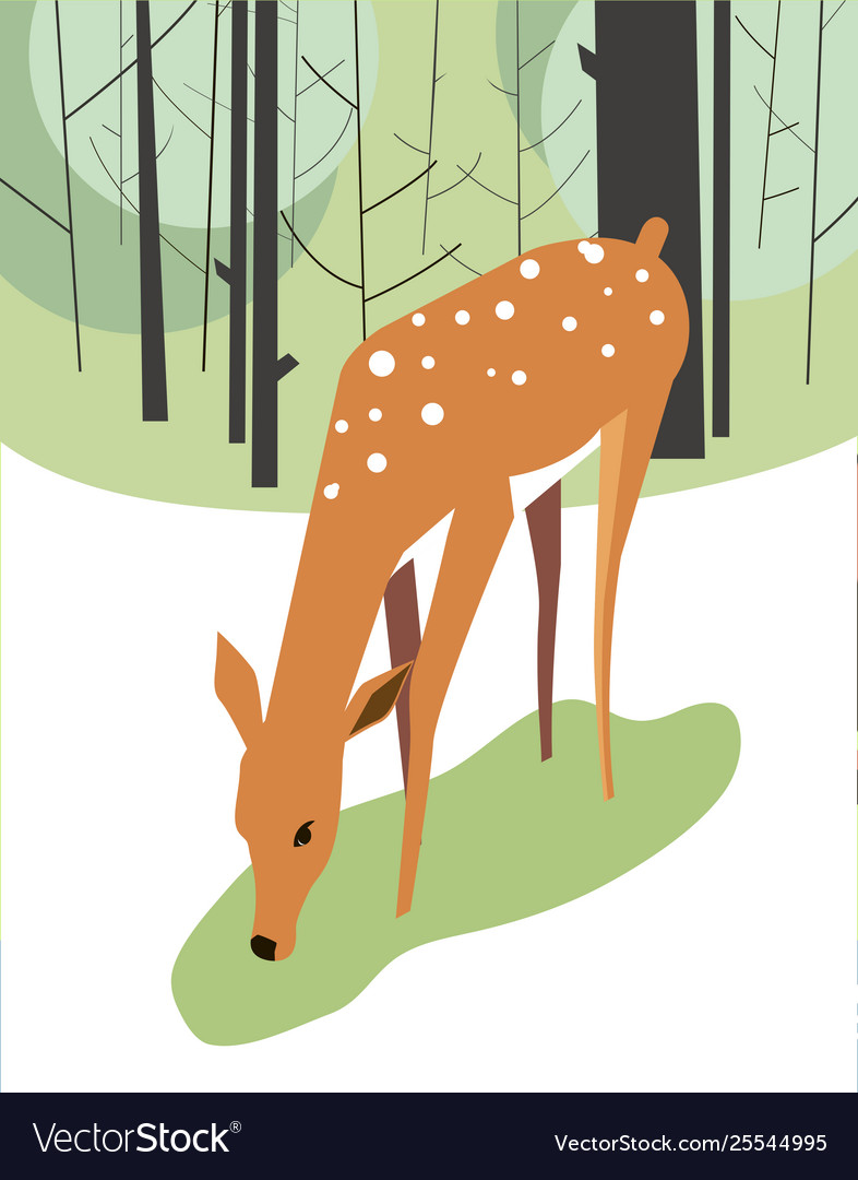 Deer Royalty Free Vector Image - VectorStock