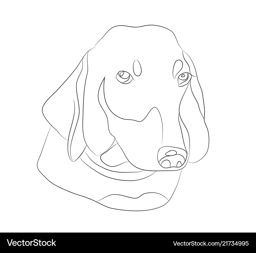 Dog portrait dachshund lines Royalty Free Vector Image