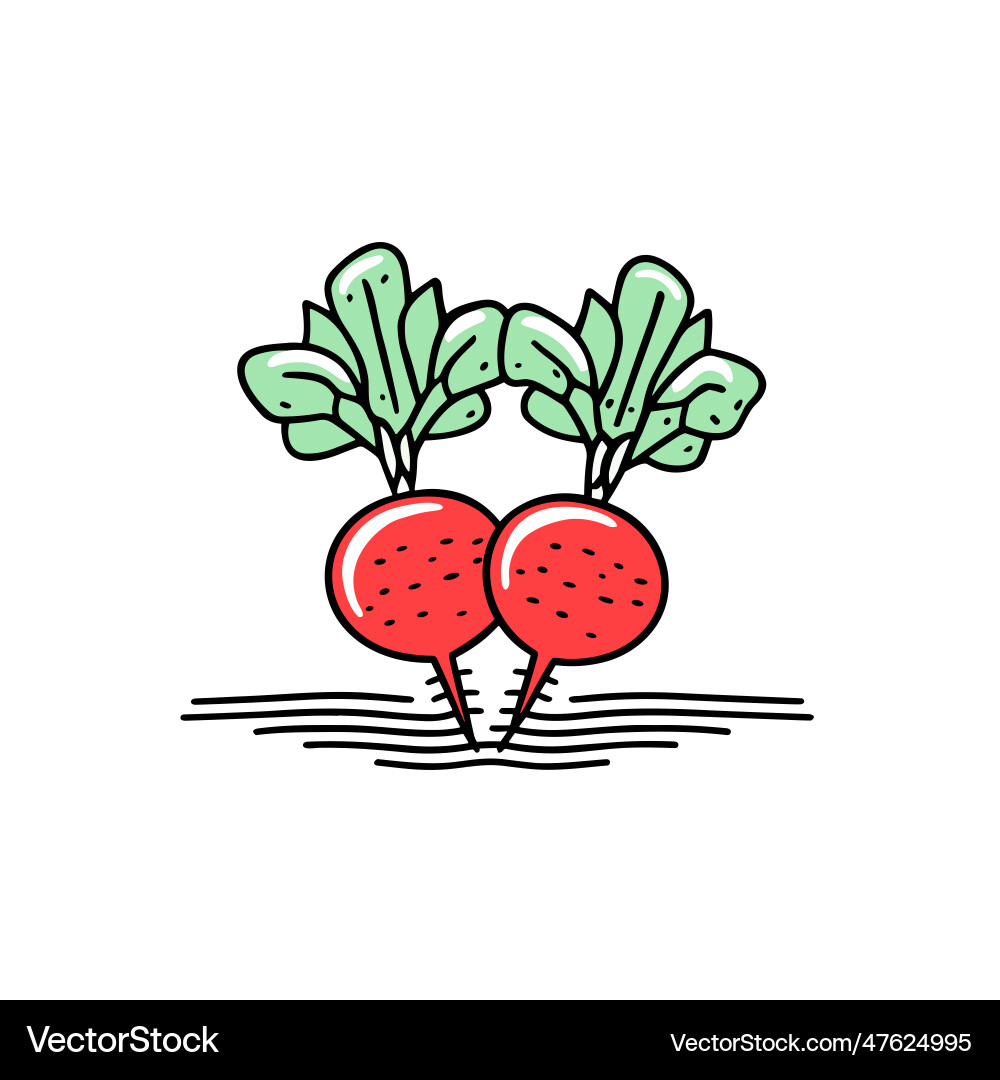 Radish hand-drawn doodle style cartoon Royalty Free Vector