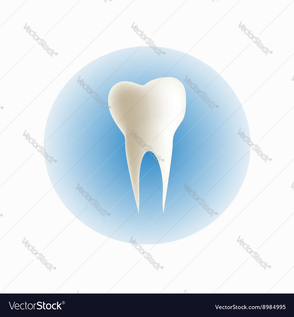 Tooth Royalty Free Vector Image - VectorStock