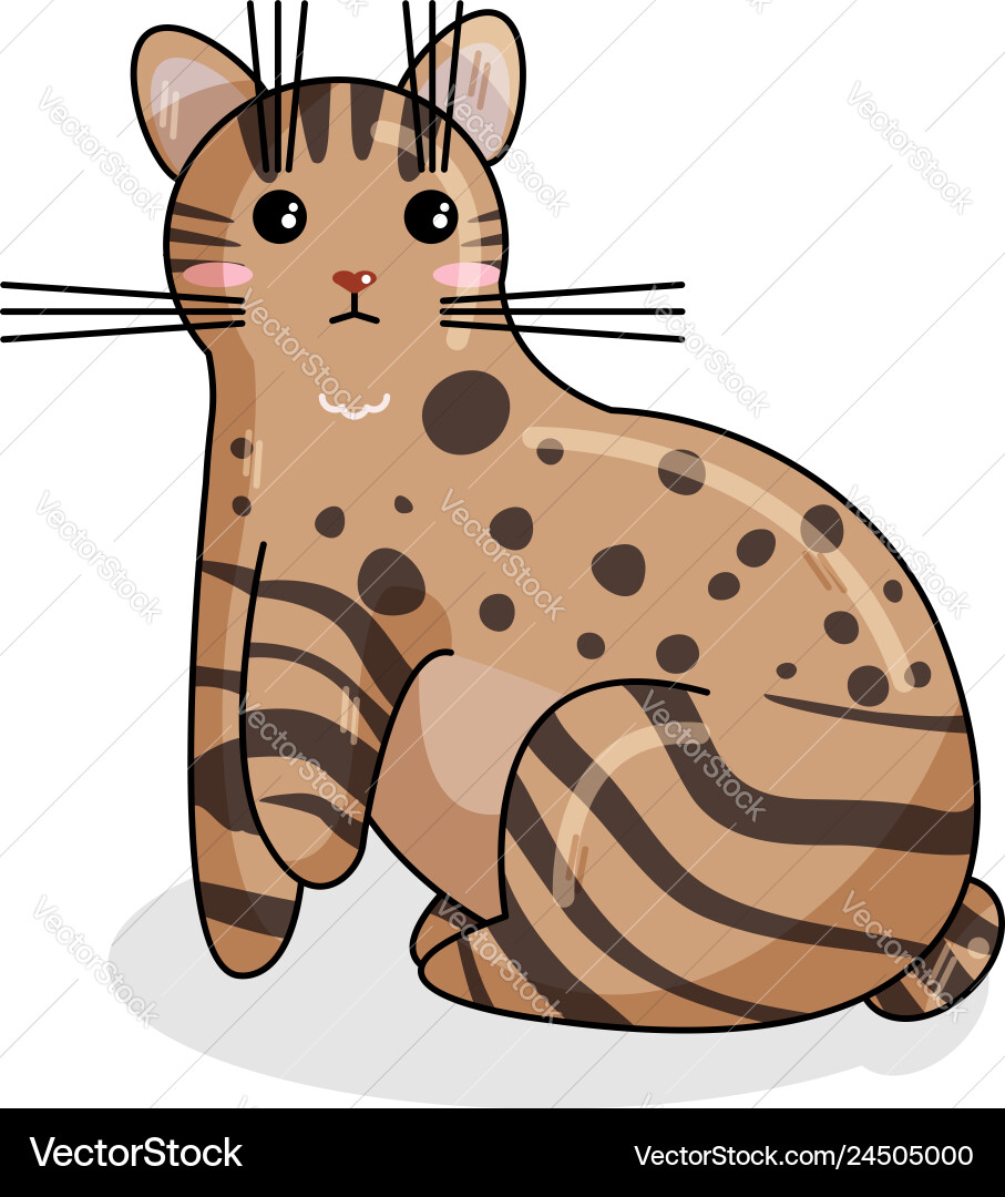Character of pixie bob cat in kawaii style Vector Image