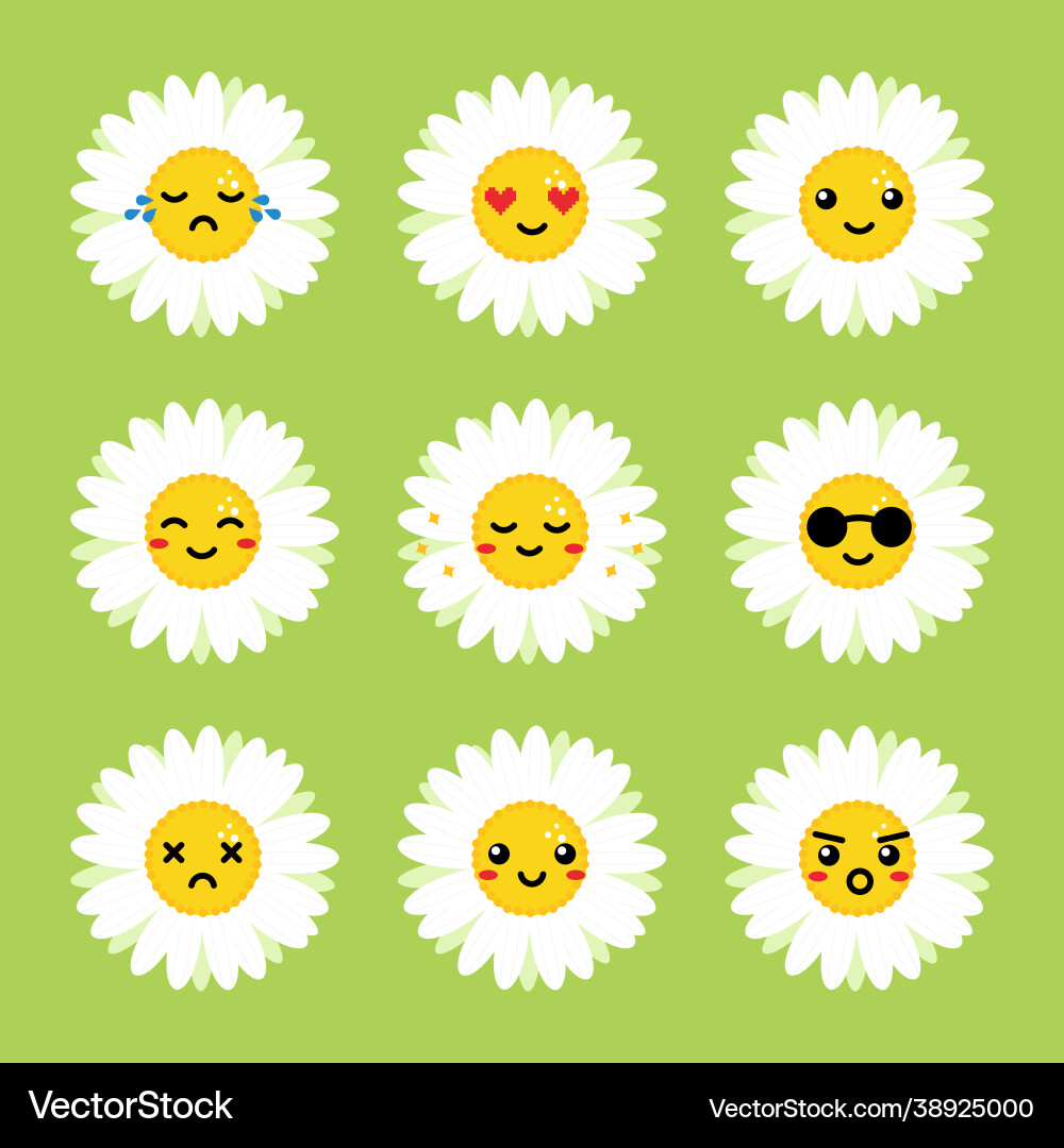 Set collection pack camomile daisy emoji Vector Image