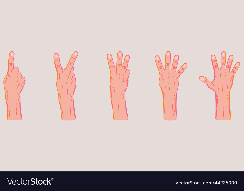 Set of different hand gestures Royalty Free Vector Image