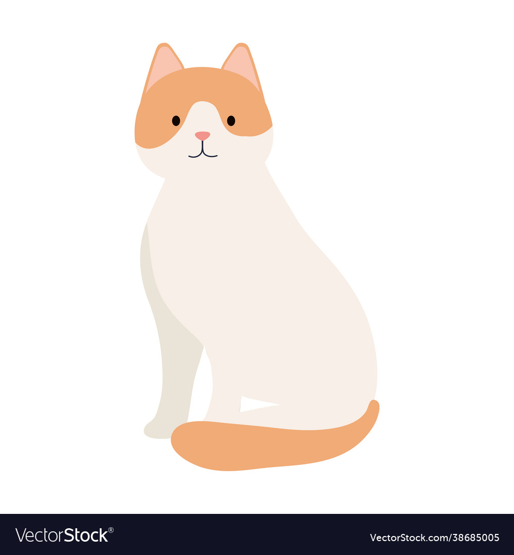 Cute white cat Royalty Free Vector Image - VectorStock
