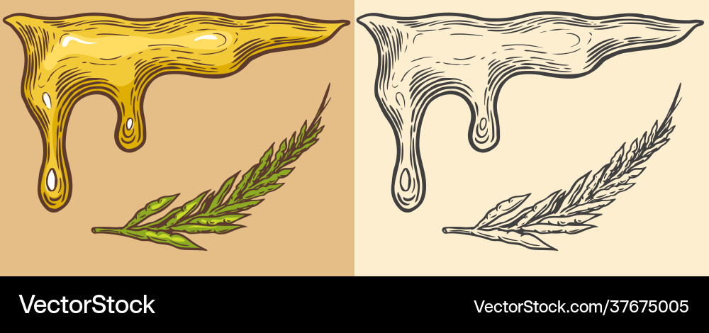 Dripping mustard or spicy sauce splashing liquid Vector Image