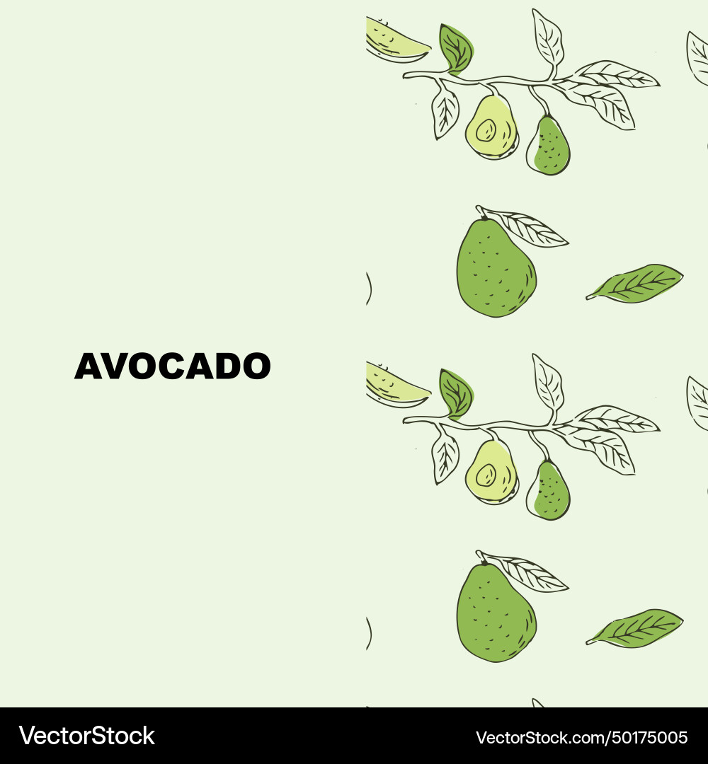 Hand drawn outline avocado banner background Vector Image