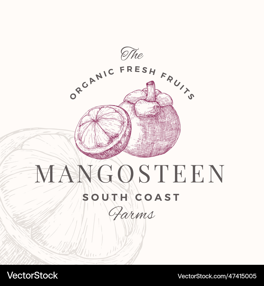 Mangosteen badge logo template hand drawn fruit Vector Image