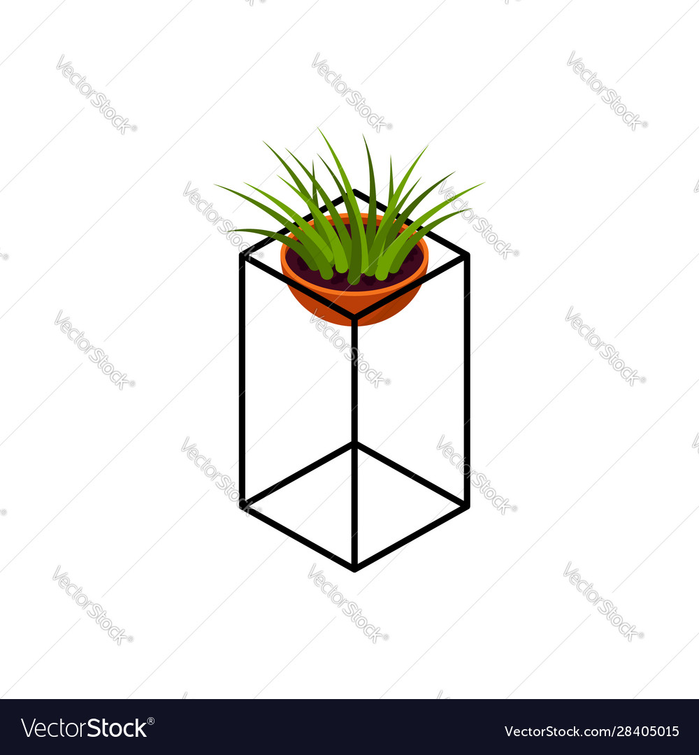 Isometric plant icon in flat style Royalty Free Vector Image