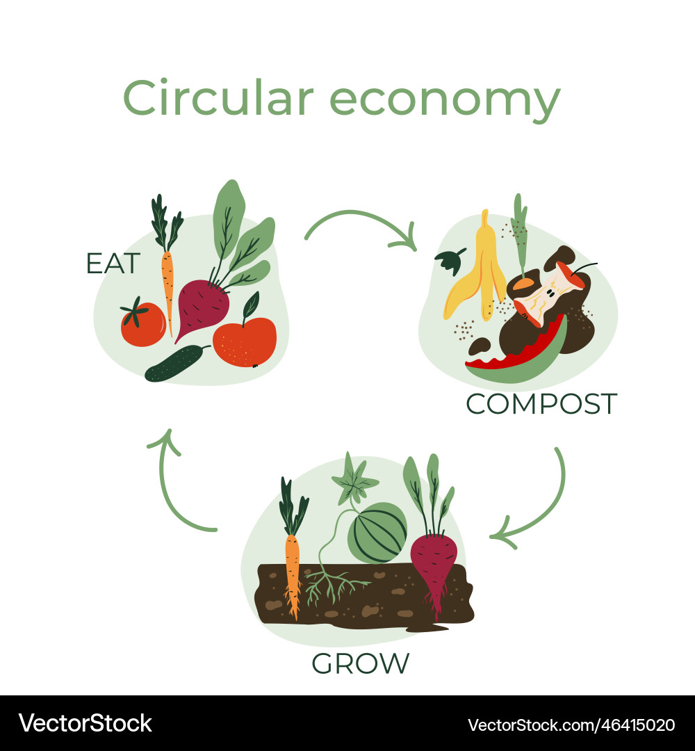 Circular economy compost and growing vegetables Vector Image