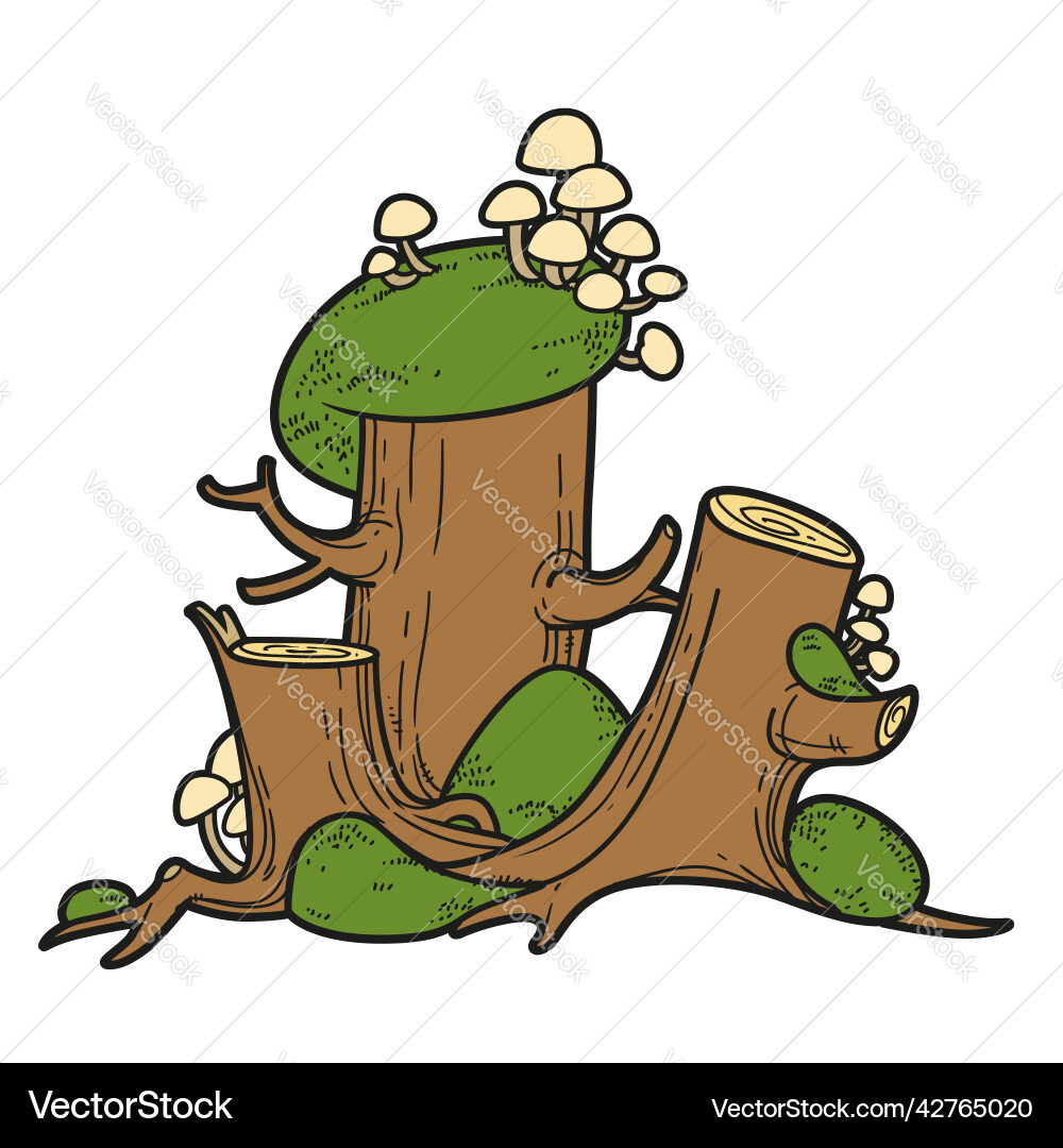 Three stumps with mushrooms color variation Vector Image