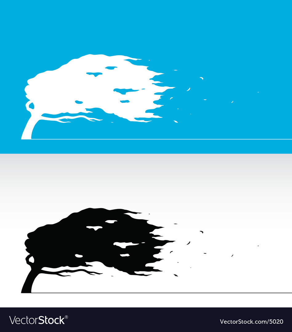 Windswept tree Royalty Free Vector Image - VectorStock
