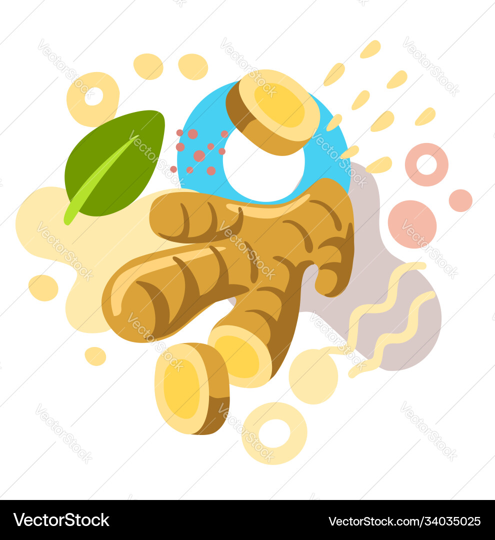 Fresh ginger on color abstract background Vector Image