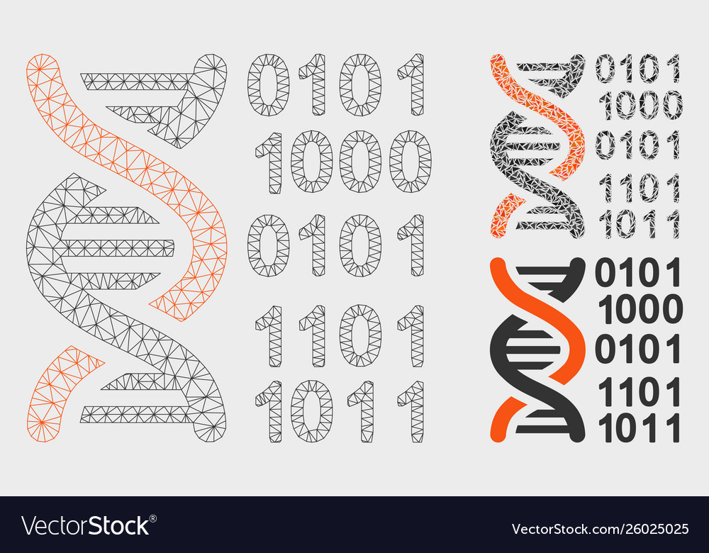 Genome code mesh wire frame model Royalty Free Vector Image Genome code mesh wire frame model Royalty Free Vector Image