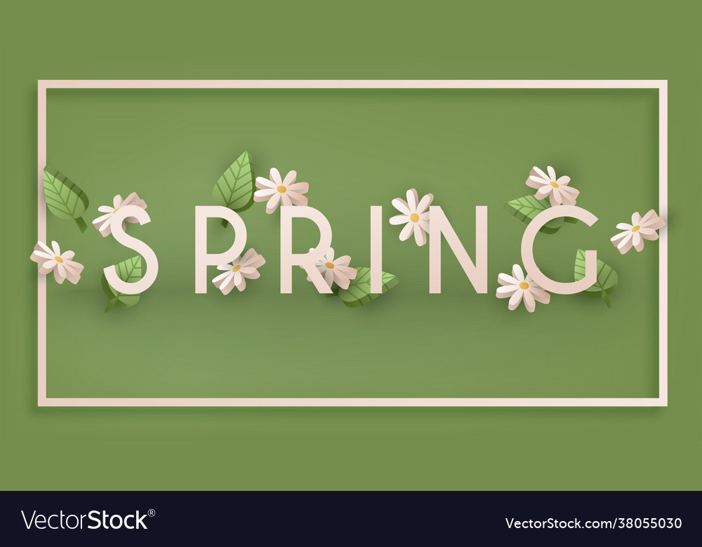 Floral spring graphic design - with daisy flowers Vector Image
