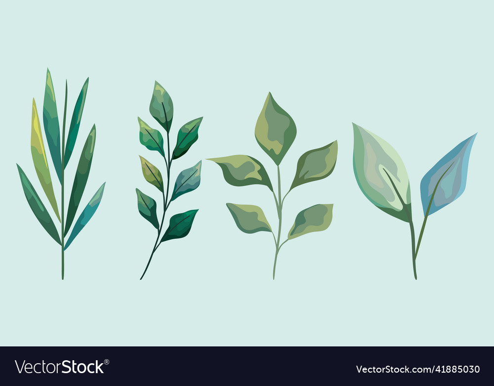 Four spring branches foliage Royalty Free Vector Image