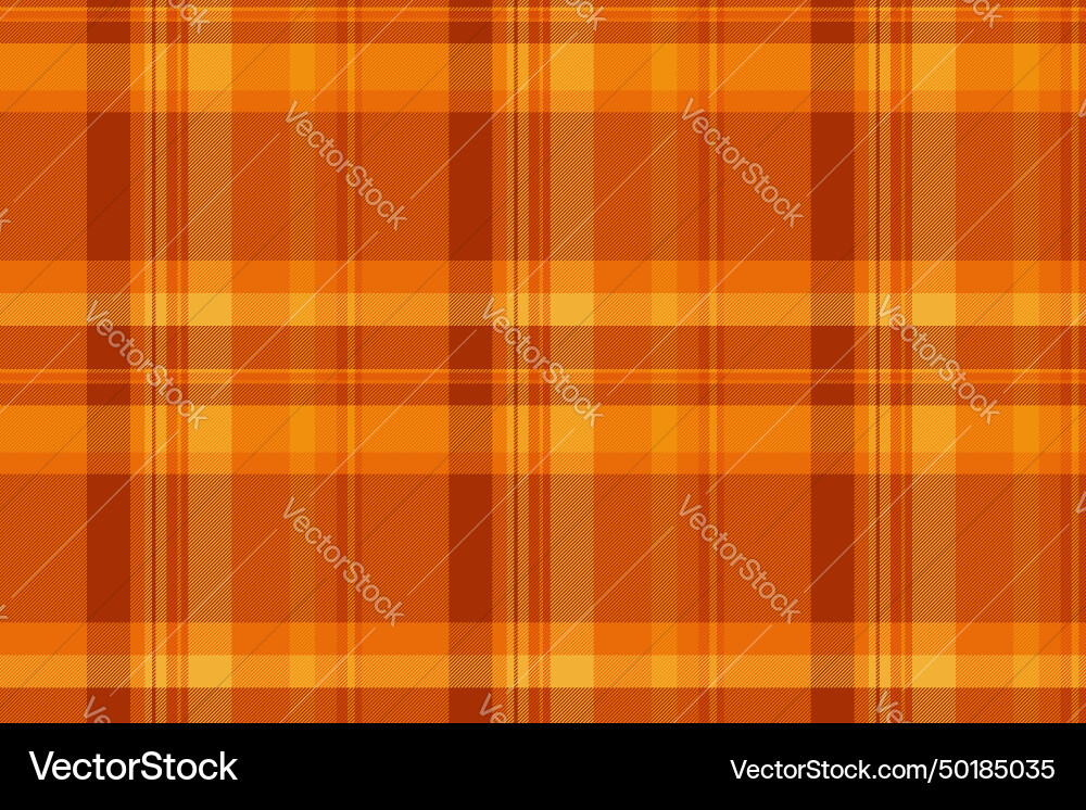 Plaid texture seamless of fabric pattern Vector Image
