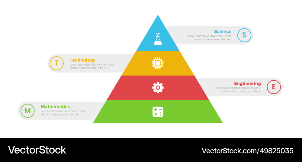 Stem education infographics template diagram with Vector Image