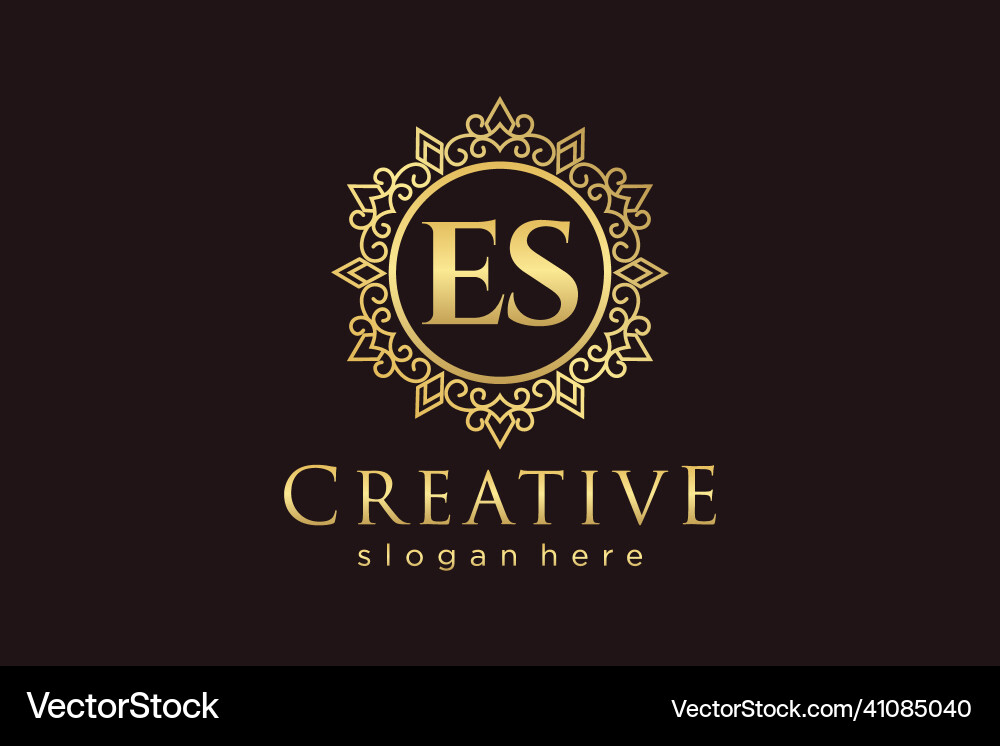 Es initial letter luxury calligraphic feminine Vector Image