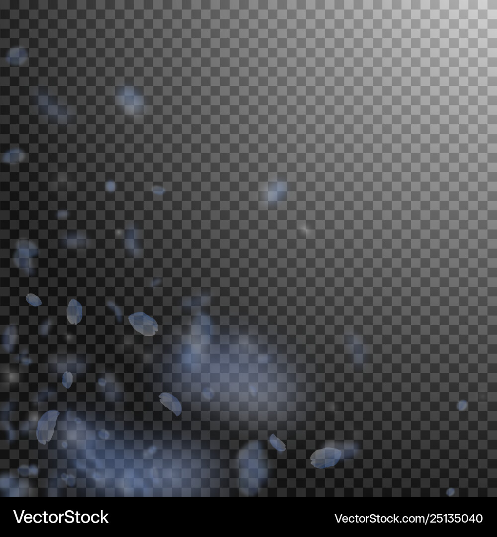 Light blue flower petals falling down artistic ro Vector Image