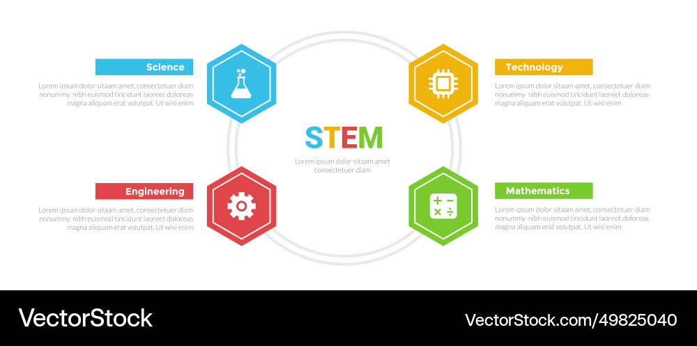 Stem education infographics template diagram Vector Image