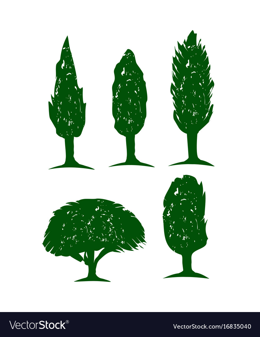 Trees Royalty Free Vector Image - VectorStock