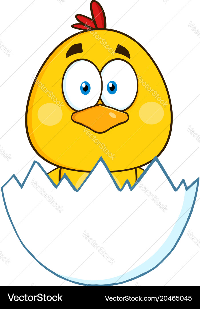 Cute yellow chick cartoon character Royalty Free Vector
