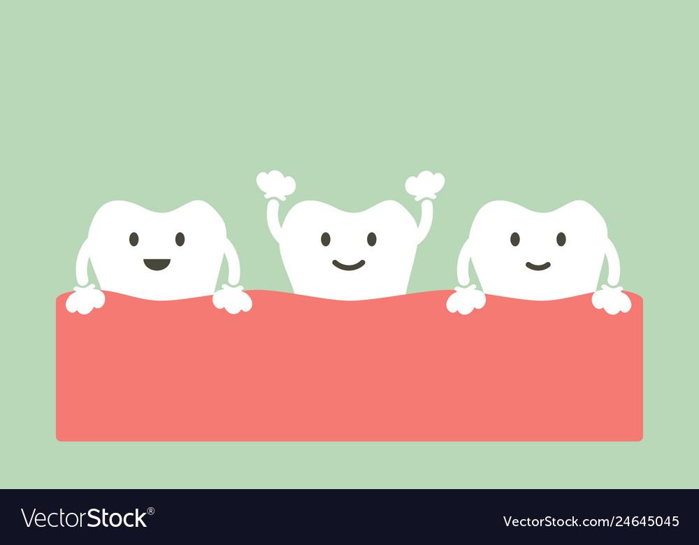 Healthy tooth Royalty Free Vector Image - VectorStock