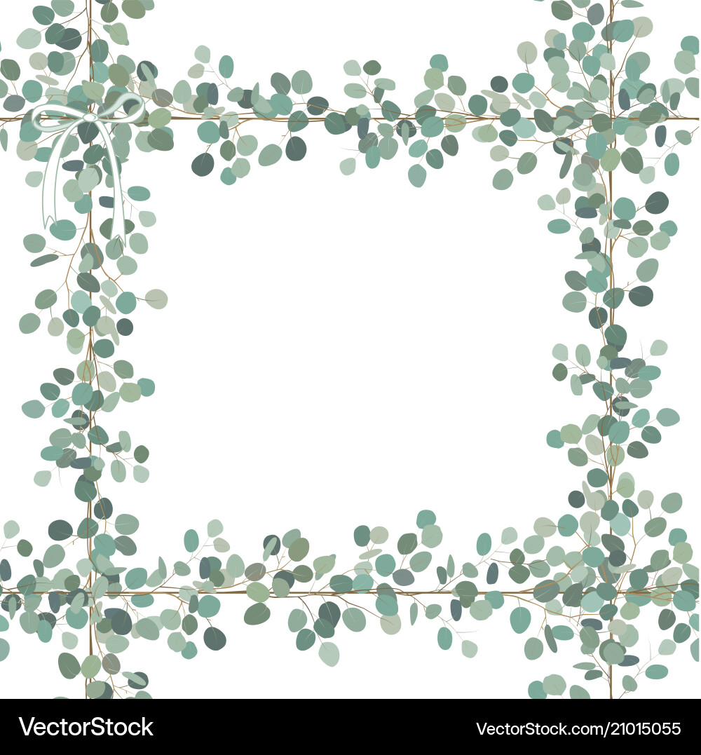 Floral card design eucalyptus silver dollar Vector Image