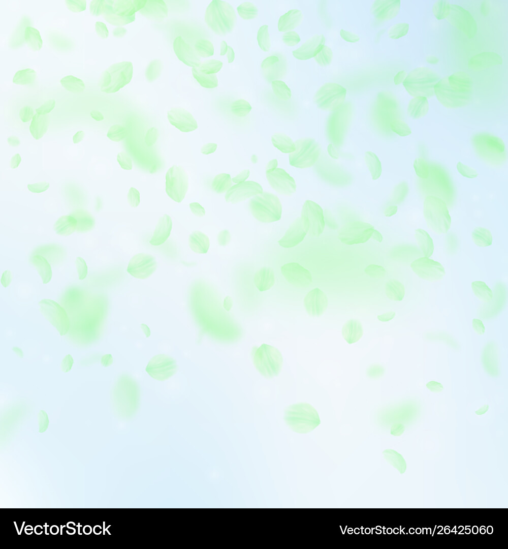Green flower petals falling down decent romantic Vector Image