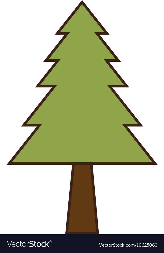 Green pine tree Royalty Free Vector Image - VectorStock