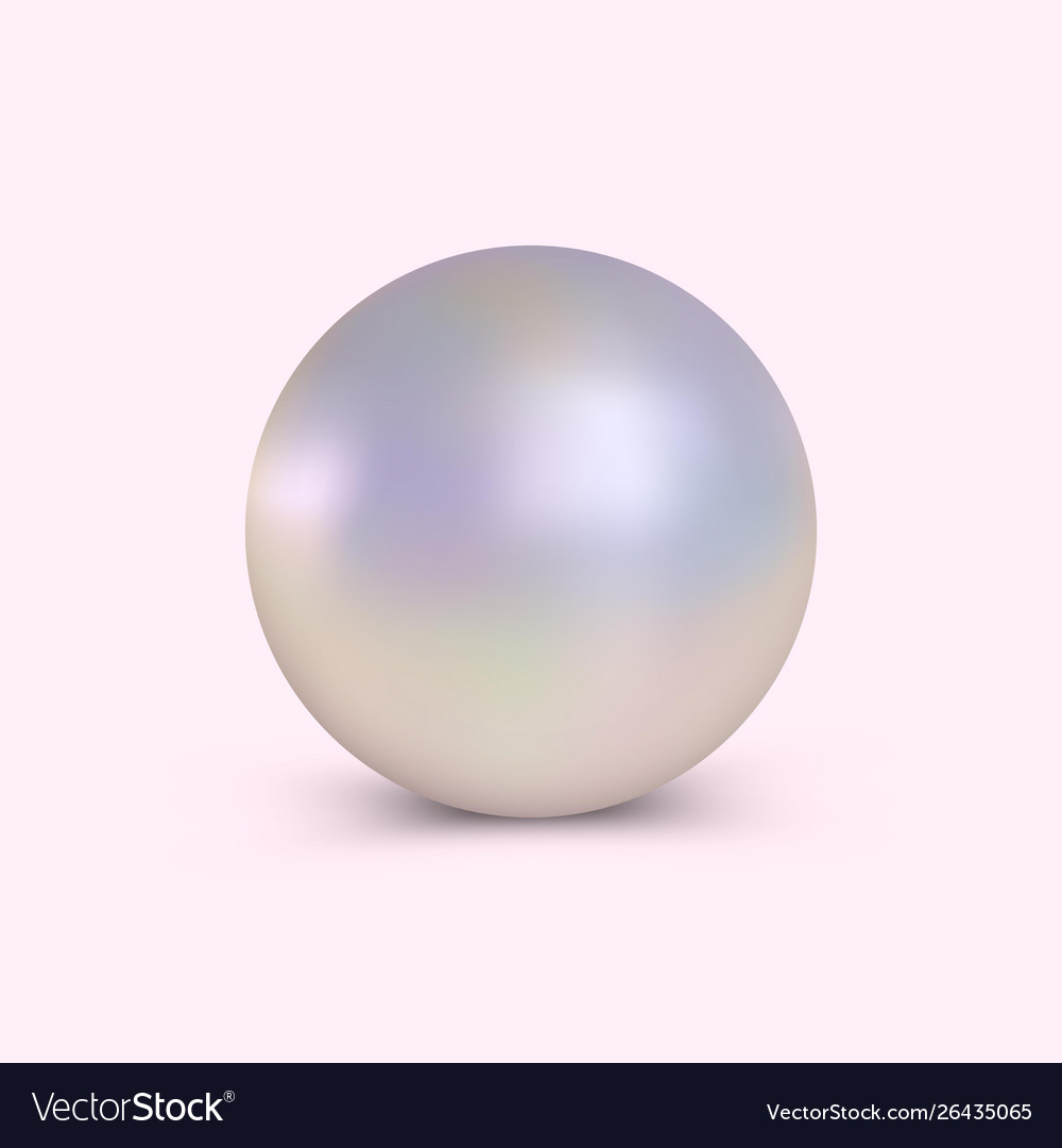 Elegant realistic pearl Royalty Free Vector Image