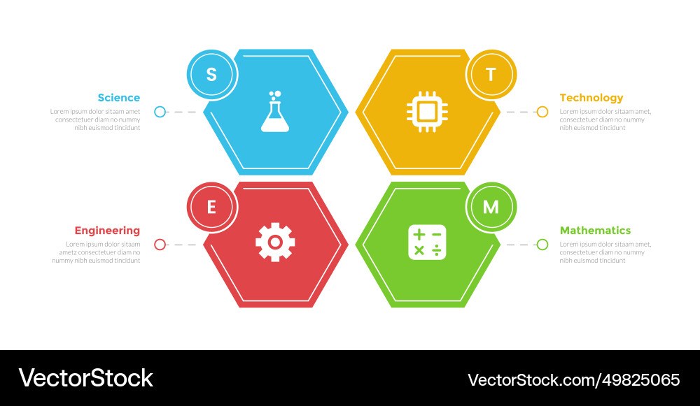 Stem education infographics template diagram Vector Image