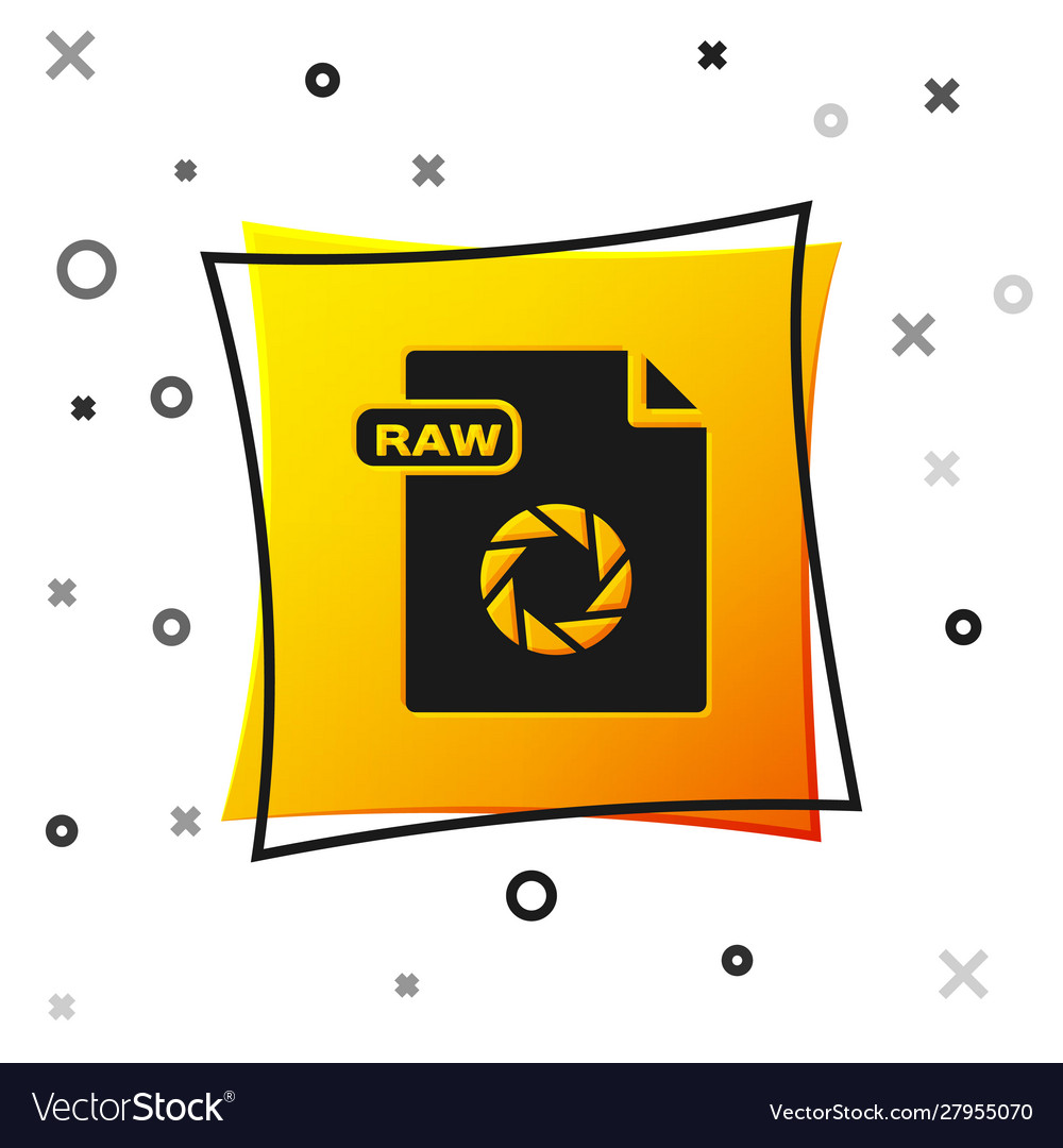 Black raw file document download raw button icon Vector Image