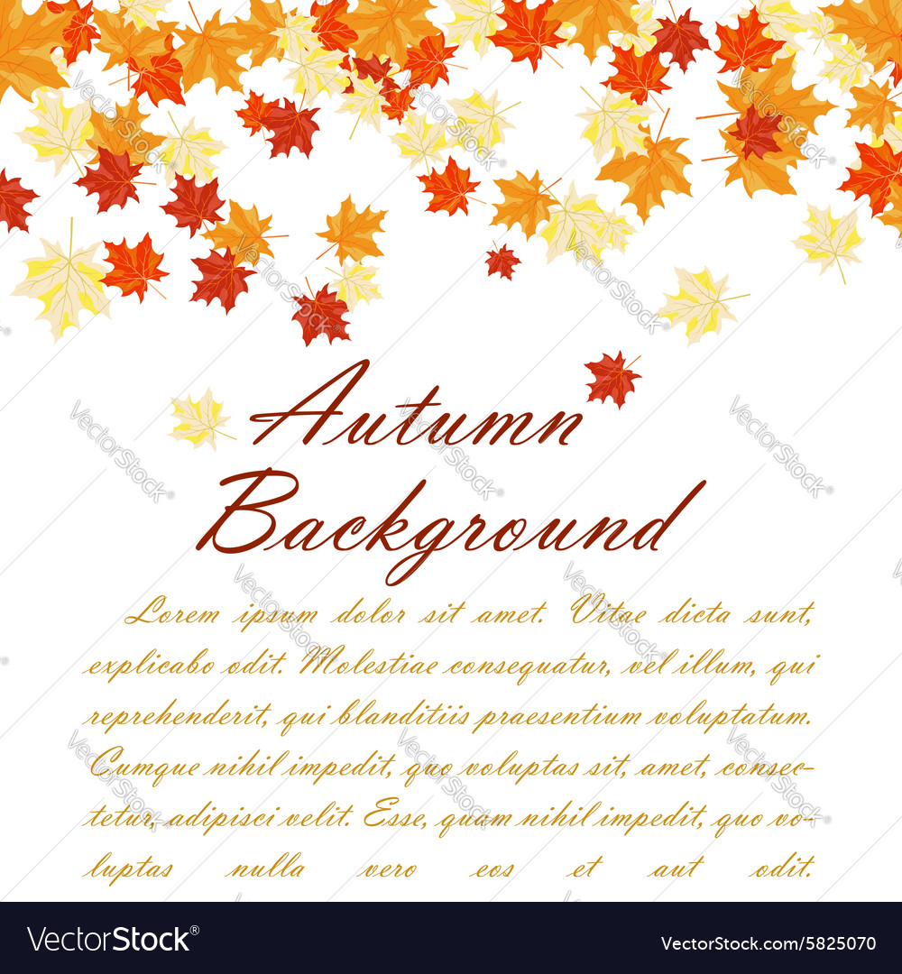 Maple fall Royalty Free Vector Image - VectorStock