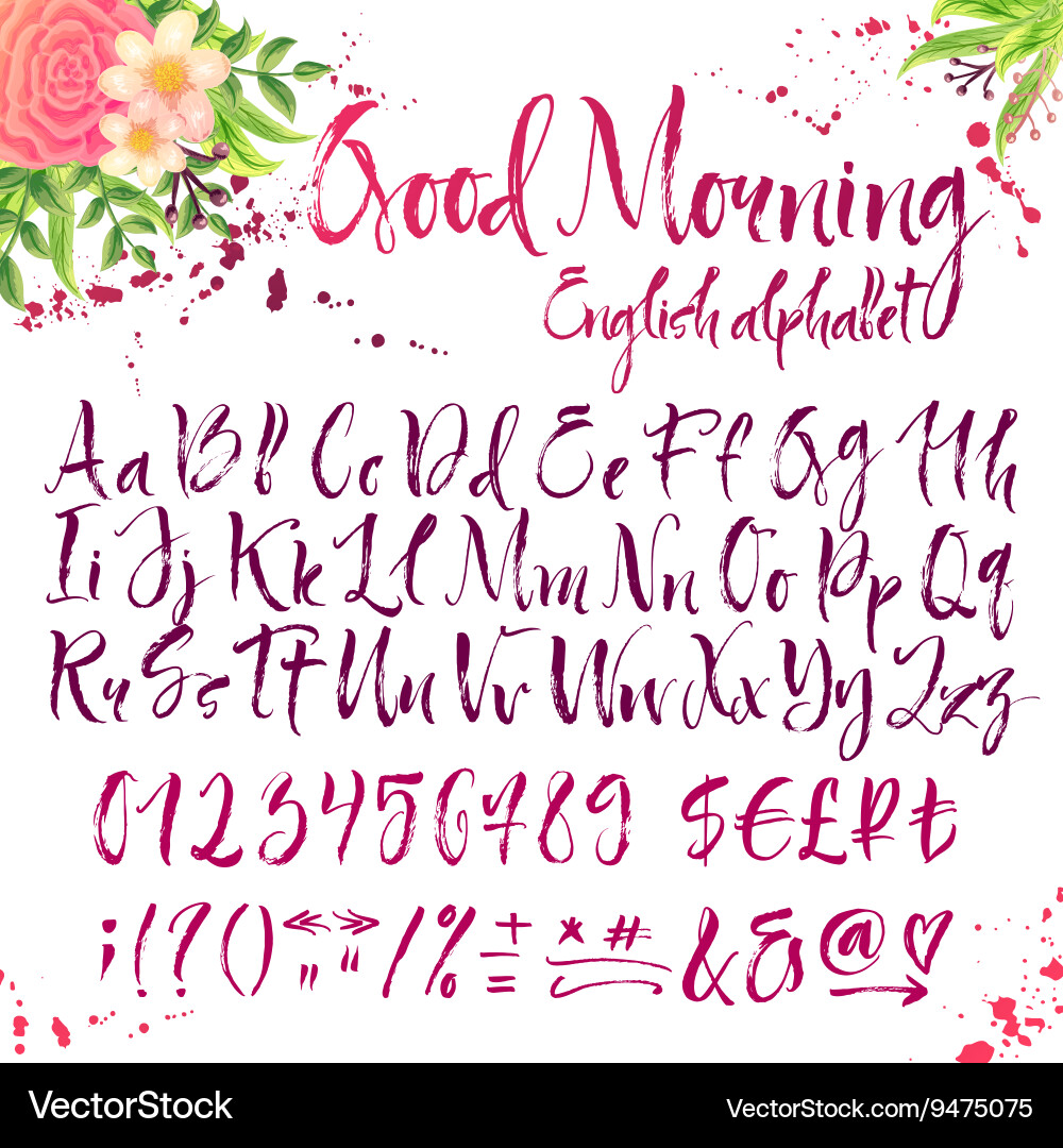 Calligraphic english alphabet with decorations Vector Image