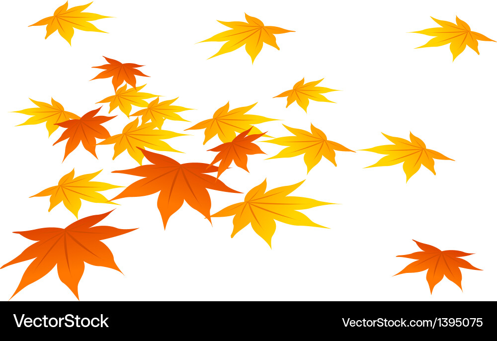 Fall of leaves Royalty Free Vector Image - VectorStock