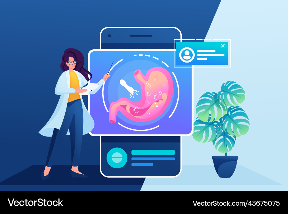 Gastroenterologist consults a client online Vector Image