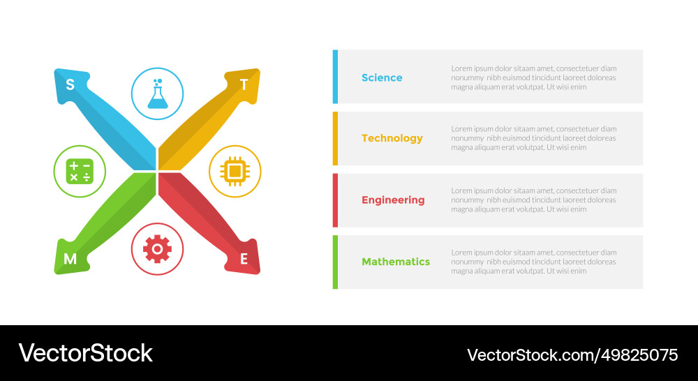 Stem education infographics template diagram Vector Image