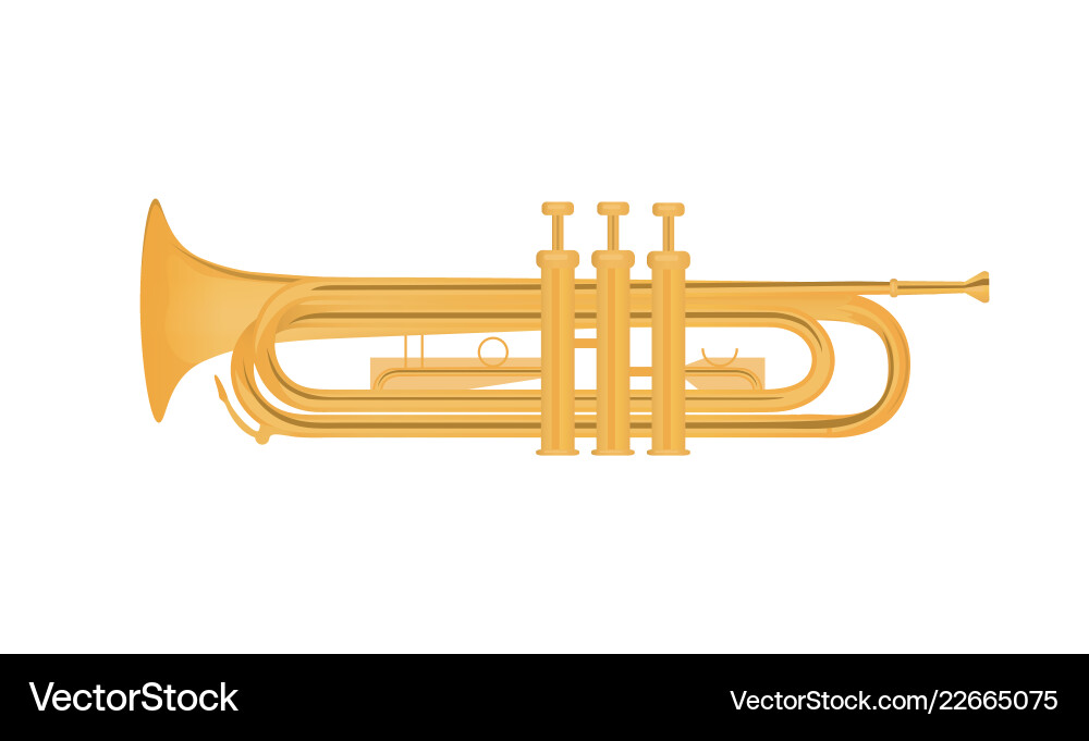 Trumpet isolated on white Royalty Free Vector Image