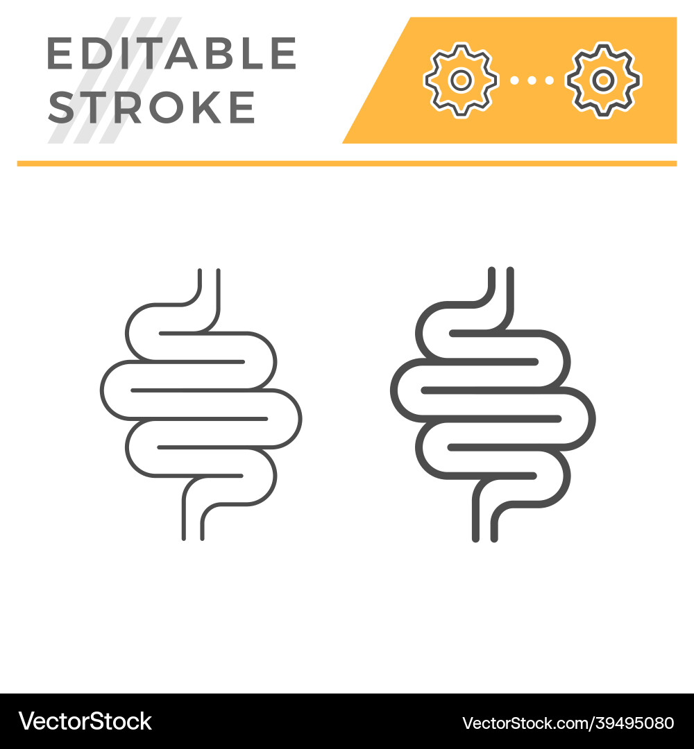 Intestines line icon or digestion system symbol Vector Image