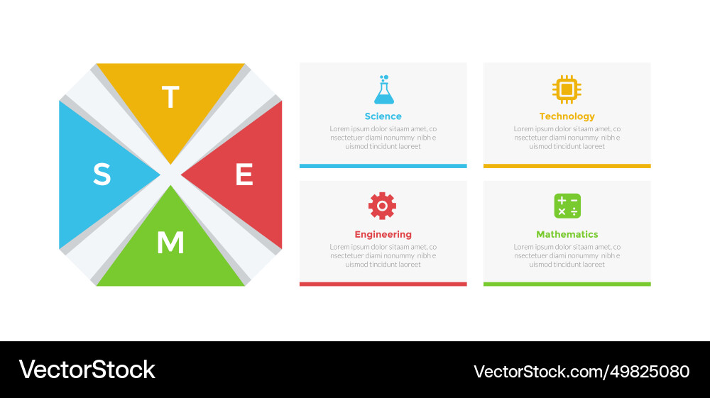 Stem education infographics template diagram with Vector Image