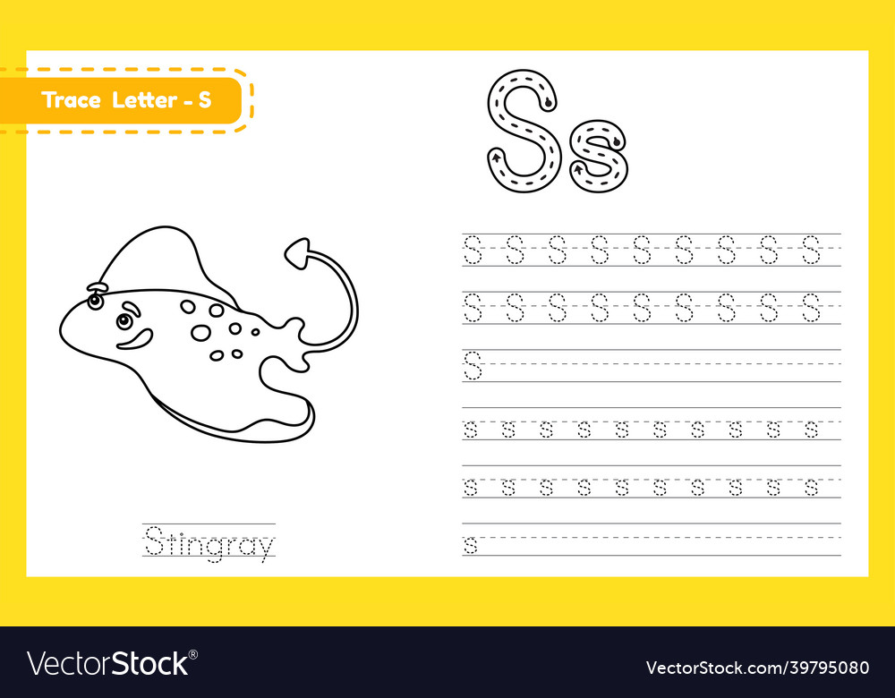 Trace letter s uppercase and lowercase alphabet Vector Image