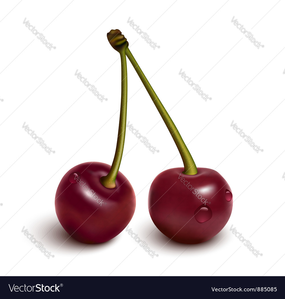 Cherry Royalty Free Vector Image - VectorStock