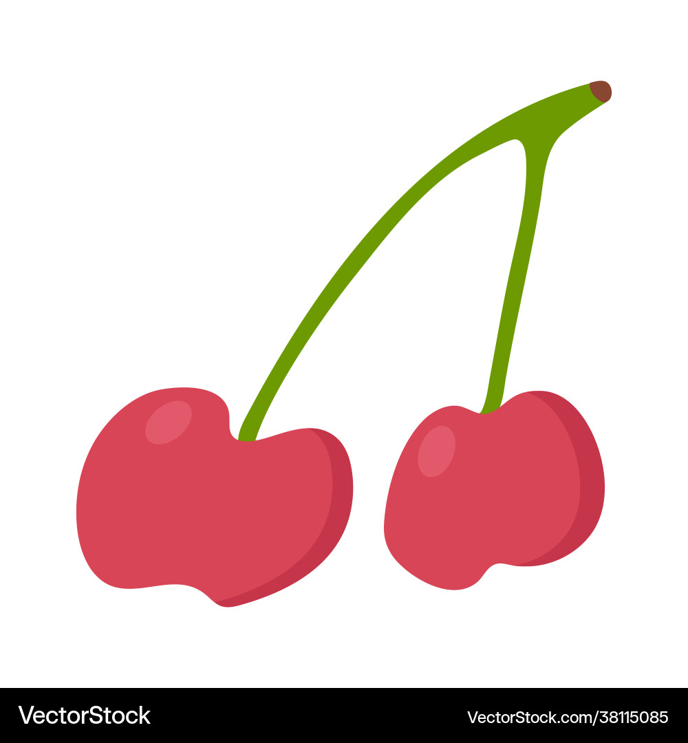 Two ripe cherries on a white background for use Vector Image