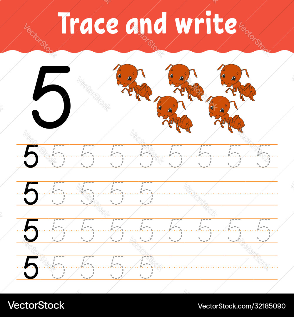 Trace and write handwriting practice learning Vector Image
