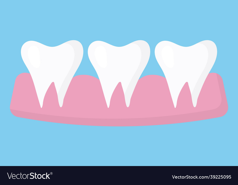 Healthy straight teeth Royalty Free Vector Image