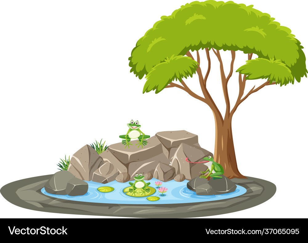 Isolated scene with many frog around pond Vector Image