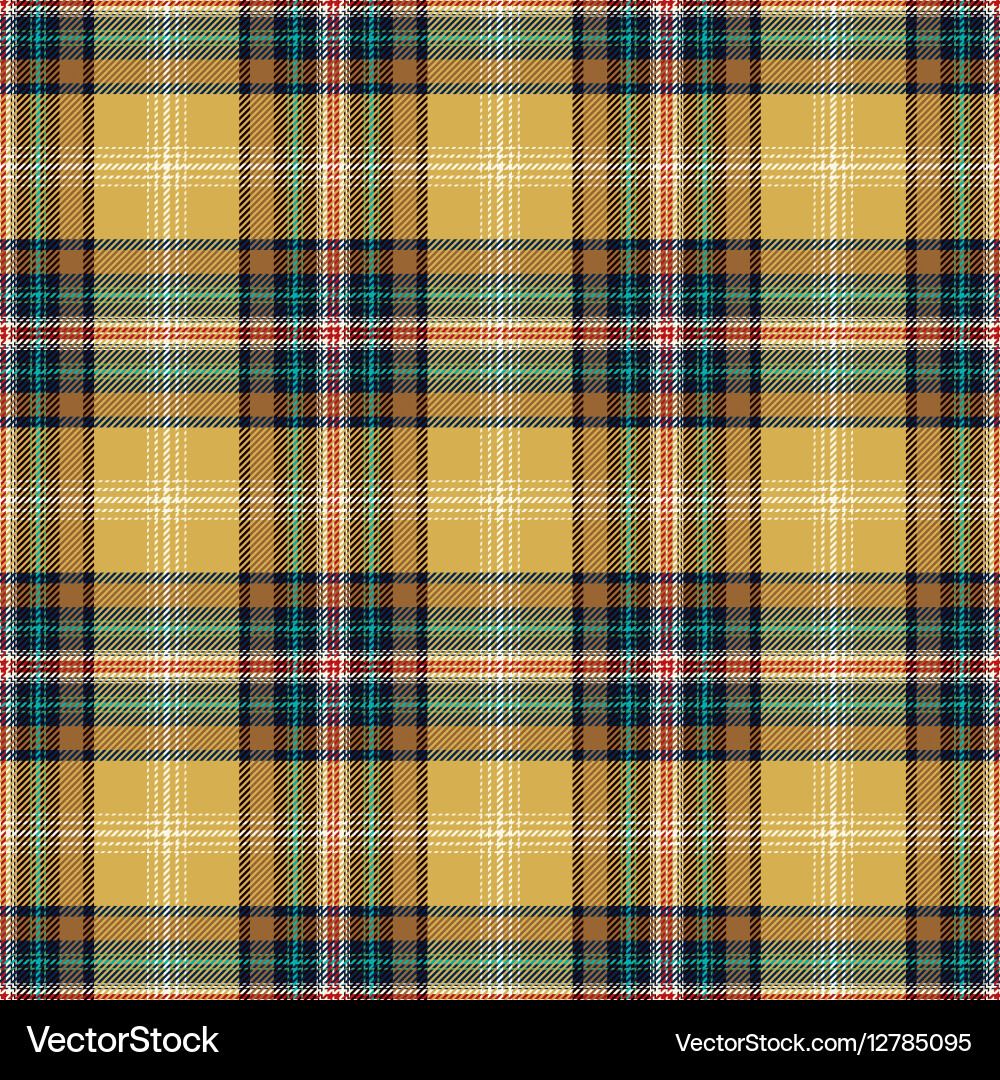 Tartan seamless pattern Royalty Free Vector Image