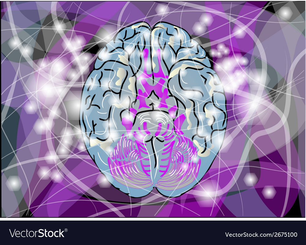 Brain activity Royalty Free Vector Image - VectorStock