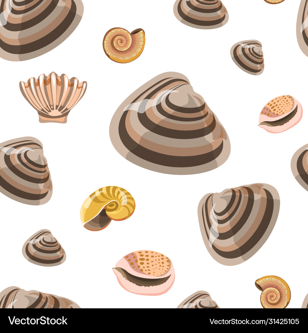 Marine conches and shells sealife seamless Vector Image